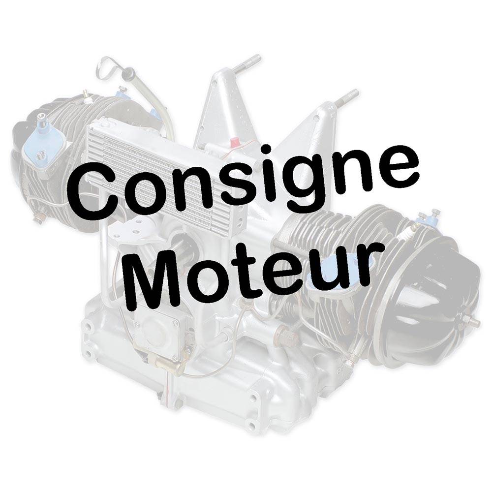 BORG MOTOR 602CC – Citrostore