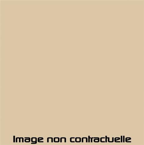 Beige Nevada spuitbus voor 2CV 1979 -> 1981 - AC 074 - 298 ml – Citrostore